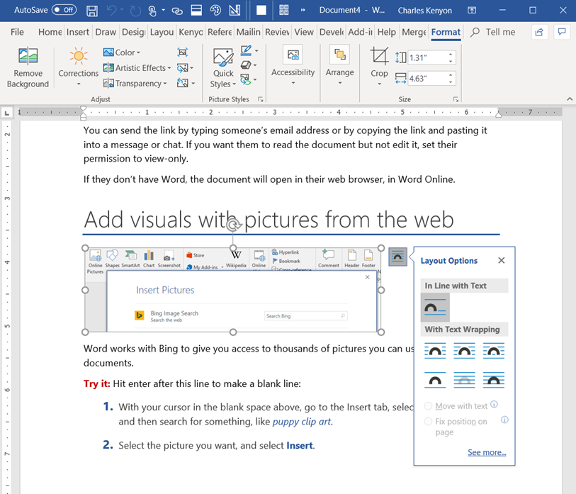 Office Word and Powerpoint no longer displaying pictures correctly ...