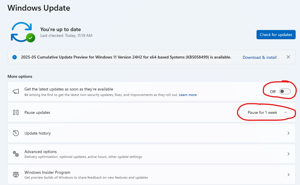2025-05 Cumulative Update for Windows 11 Version 24H2 for x64-based ...