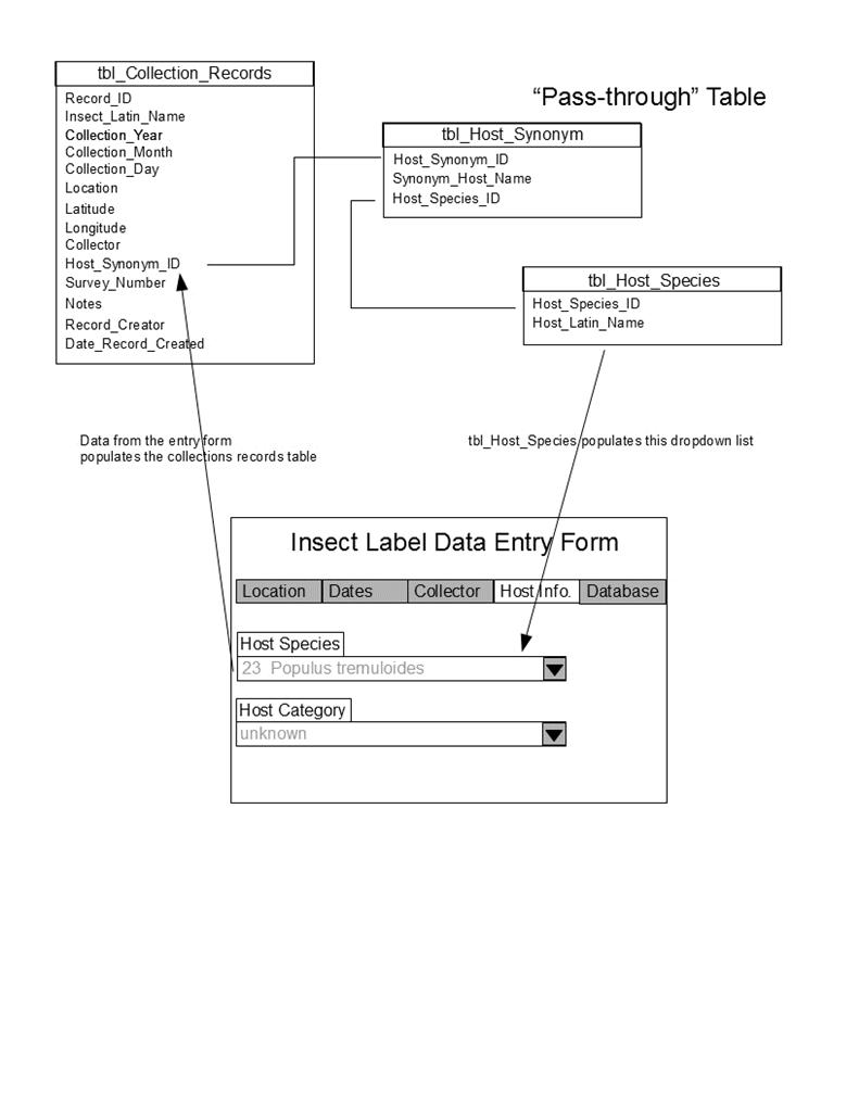 How to populate a table which populates the dropdown list it is based ...