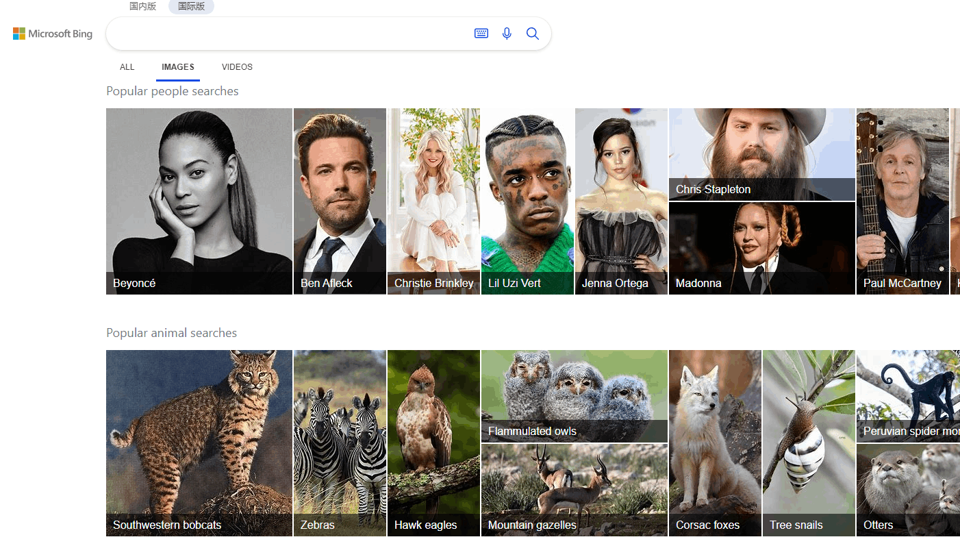 Bing'Visual Search'Can't search - Microsoft Q&A