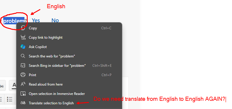 How to translate language in context menu and display language are ...