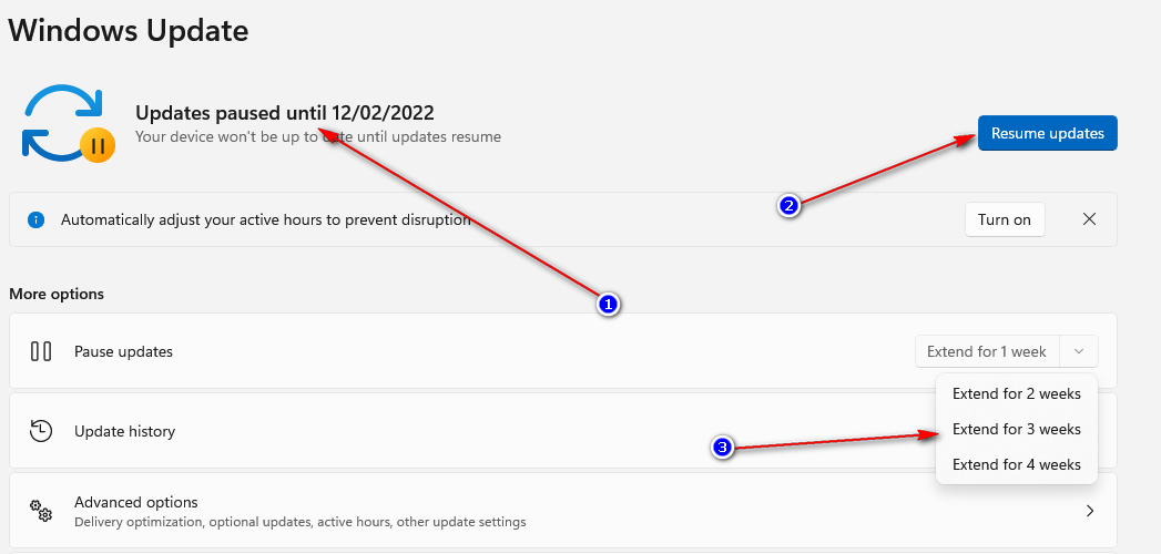 How to turn OFF Pause Updates in Windows 11? - Microsoft Q&A