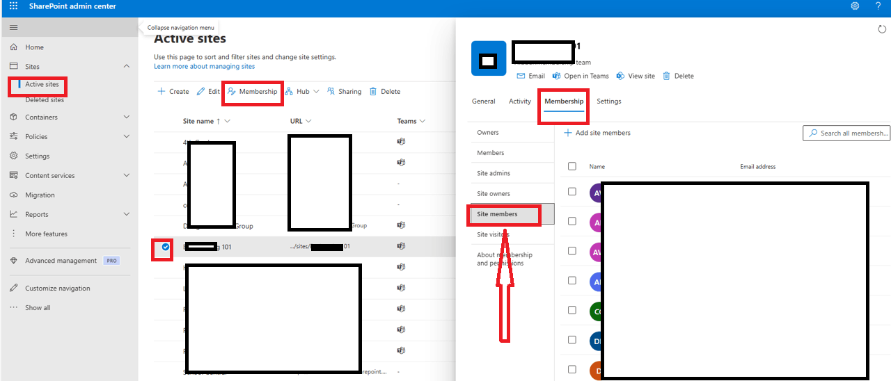 Sharepoint Site access with group emails - Microsoft Q&A