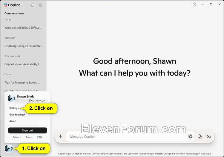 How do you get to Copilot options/settings/preferences? - Microsoft Q&A