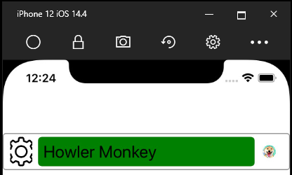 Xamarin.Forms Picker content not centered vertically - Microsoft Q&A