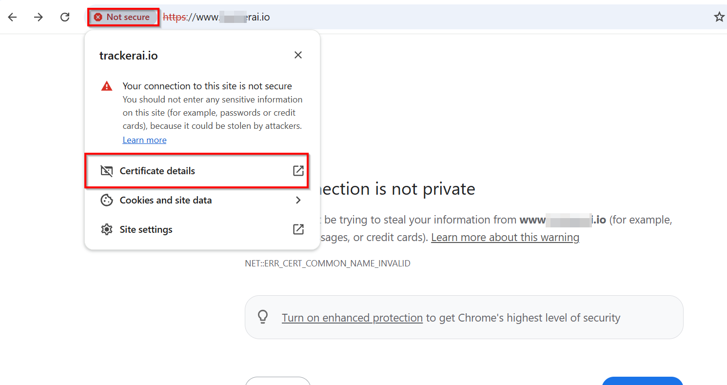Custom domain stuck in “Validating” for Static Web App — TXT record publicly resolvable ...
