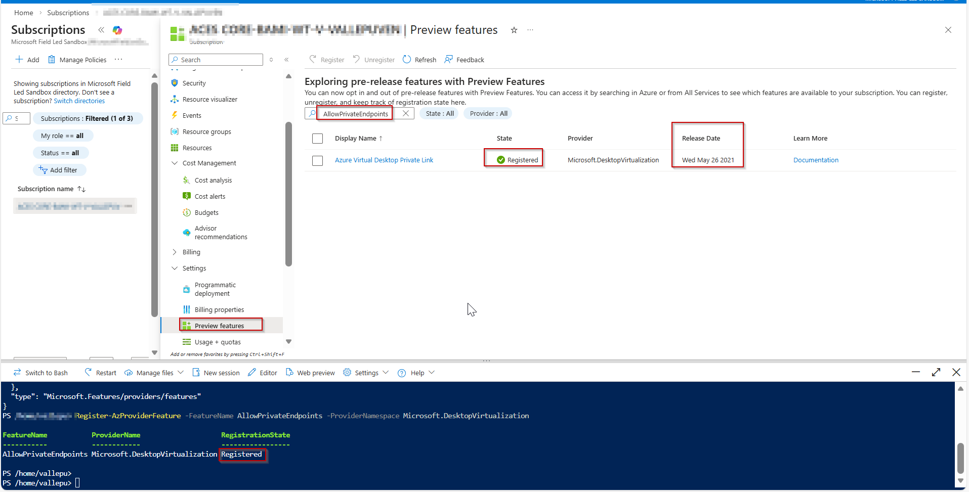 when trying to register the feature AllowPrivateEndpoints the feature ...