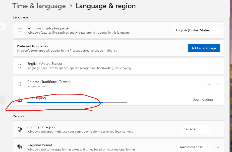 Can't download and install the Chinese typing tool - Microsoft Q&A