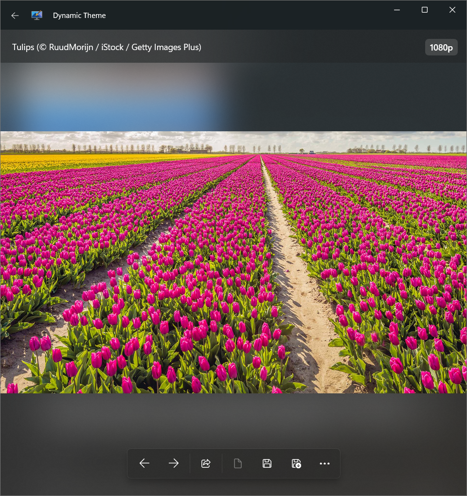 Removing Tulips & Duirinish, Scotland spotlights from Dynamic Theme app ...