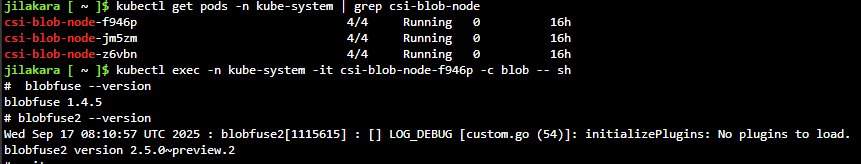 Verifying Blobfuse version on AKS Nodes - Microsoft Q&A