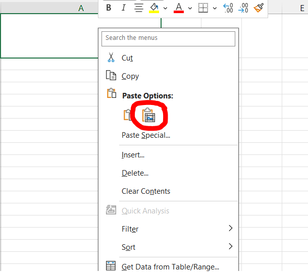 Why did the “Paste Picture in Cell” feature disappear from my Excel ...