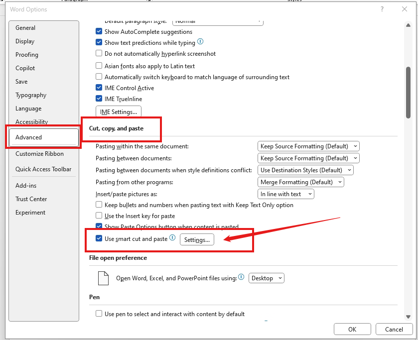 How can I get outlined/boxed text in Excel to copy and paste into Word ...
