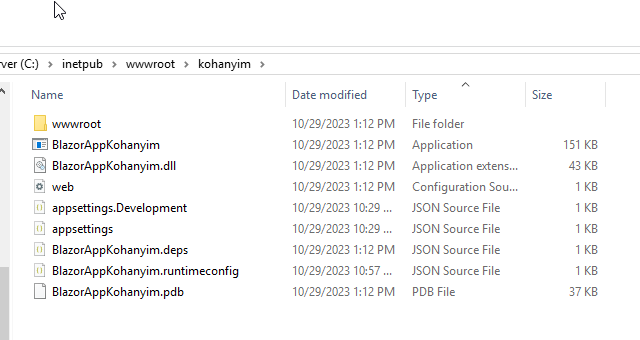 Web Farm with IIS10 Servers | Content Server: HTTP Error 500.0 - ASP.NET Core IIS hosting ...