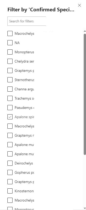 How to clear replicate filter names in Microsoft Lists? - Microsoft Q&A
