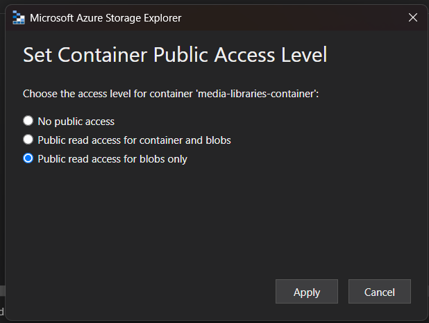 Configuring Azure Blob Storage for Persistent Public Read Access - Microsoft Q&A