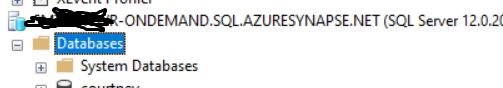 Can't Access Synapse Spark Pool Databases on SSMS - Microsoft Q&A
