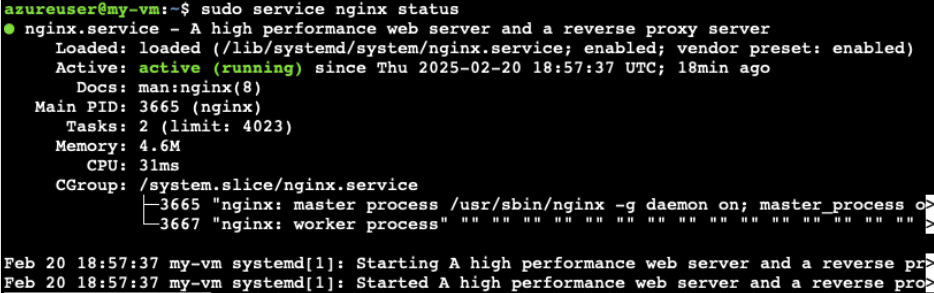 Exercise - Configure network access: Tried to run the curl command and keep getting curl: (28 ...