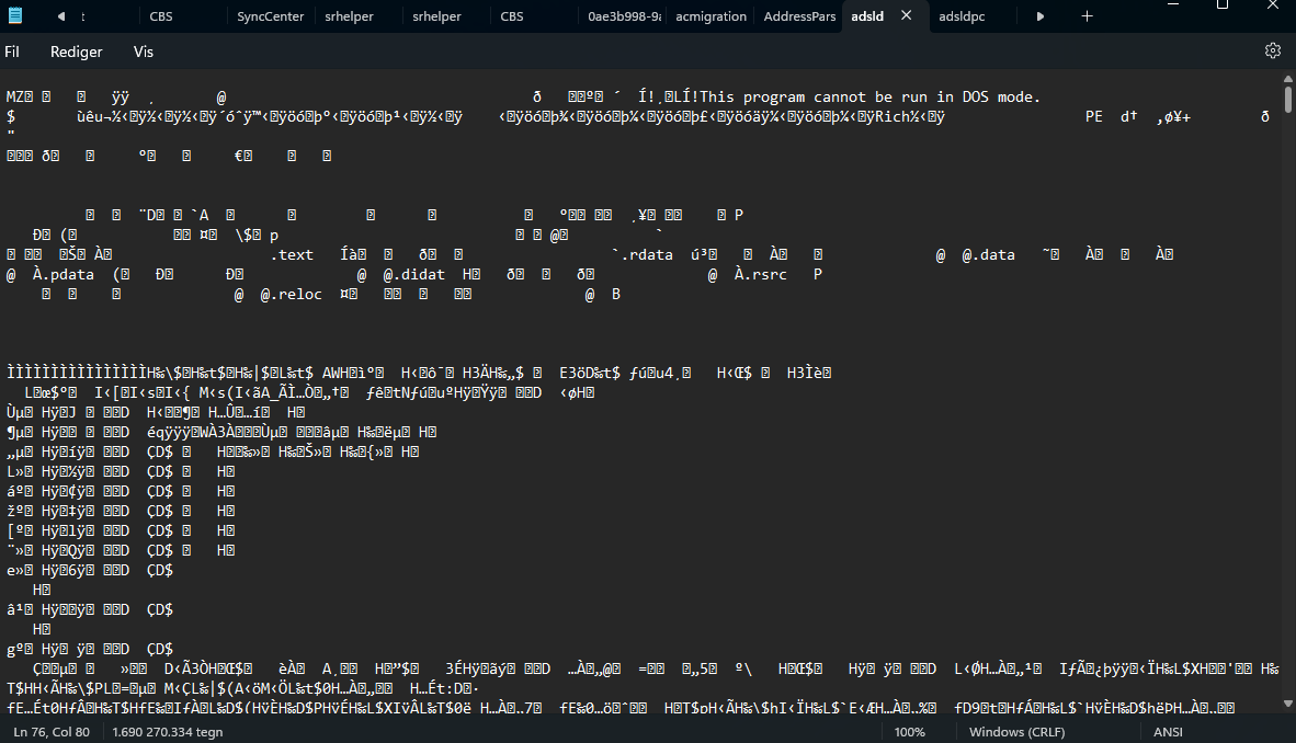 Should all DLL files look like this? - Microsoft Q&A