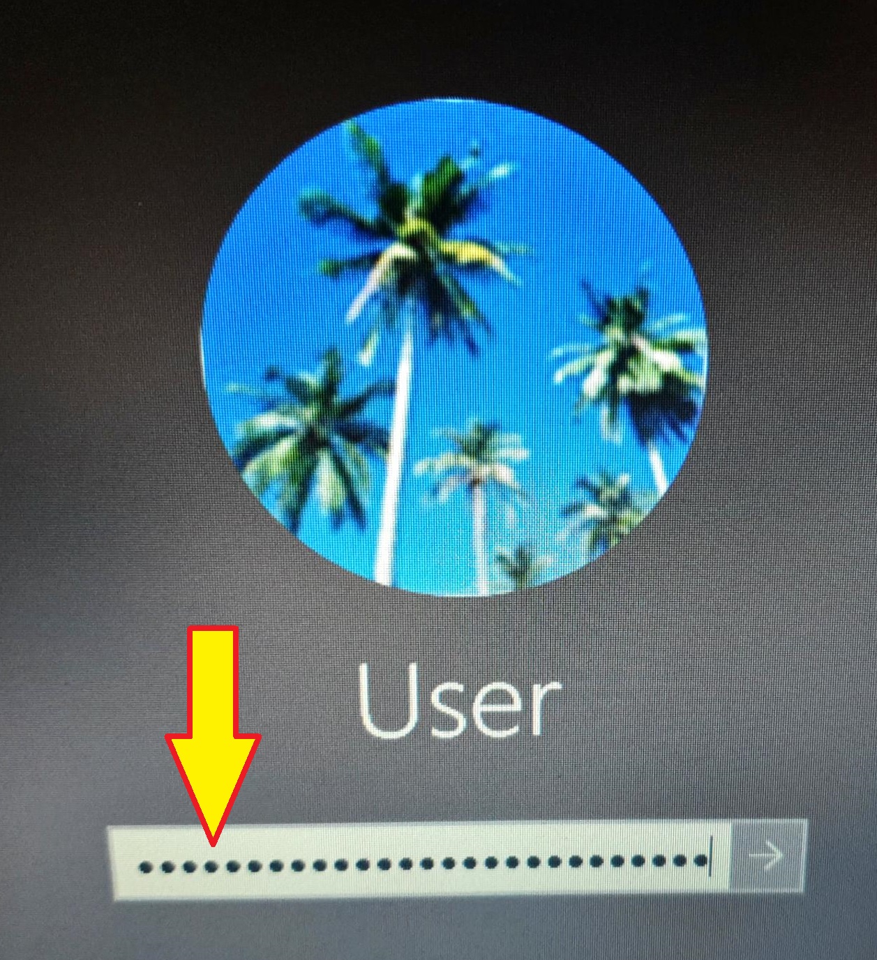 Windows 10 login screen password field is filled with dots. - Microsoft Q&A