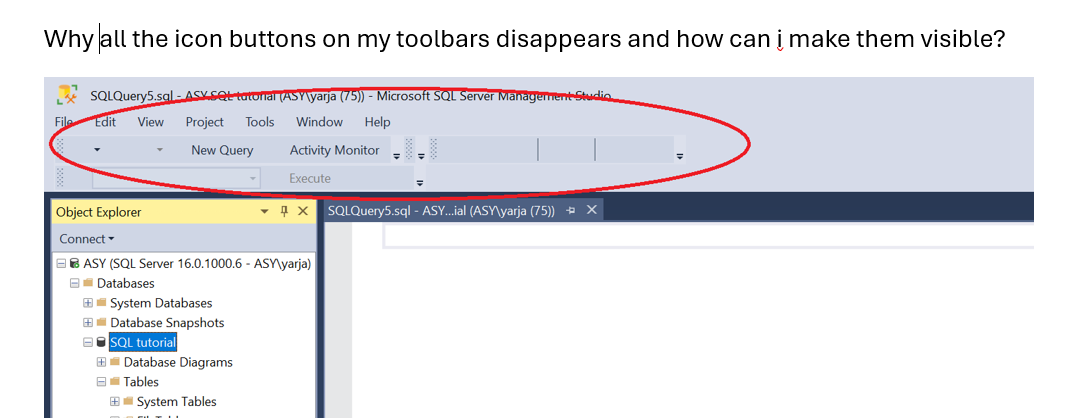 How can i make the icons on my SSMS toolbars visible? - Microsoft Q&A