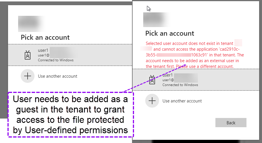 Purview Sensitivity label: User defined permissions doesn't allow access to consumers that are ...