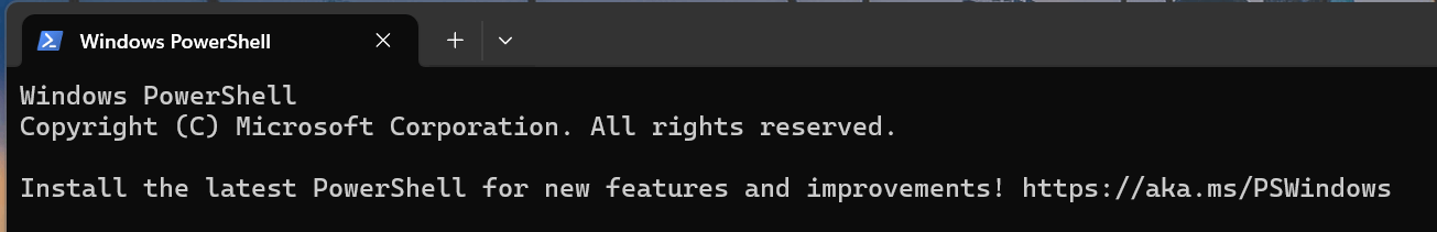 I have a problem on power shell on windows 11. When i power on my laptop automatically the power ...