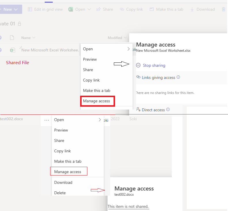 Can Team members (not owners) make files read only? - Microsoft Q&A