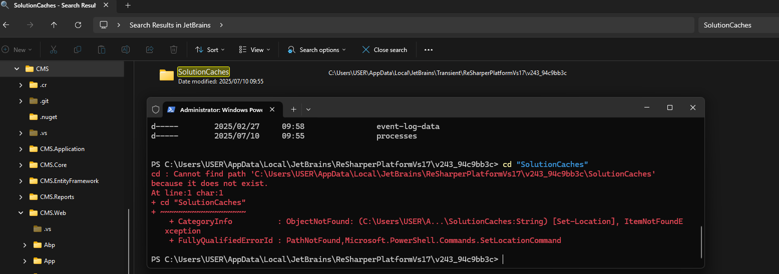 I find a folder with microsoft search, but it is missing in explorer ...