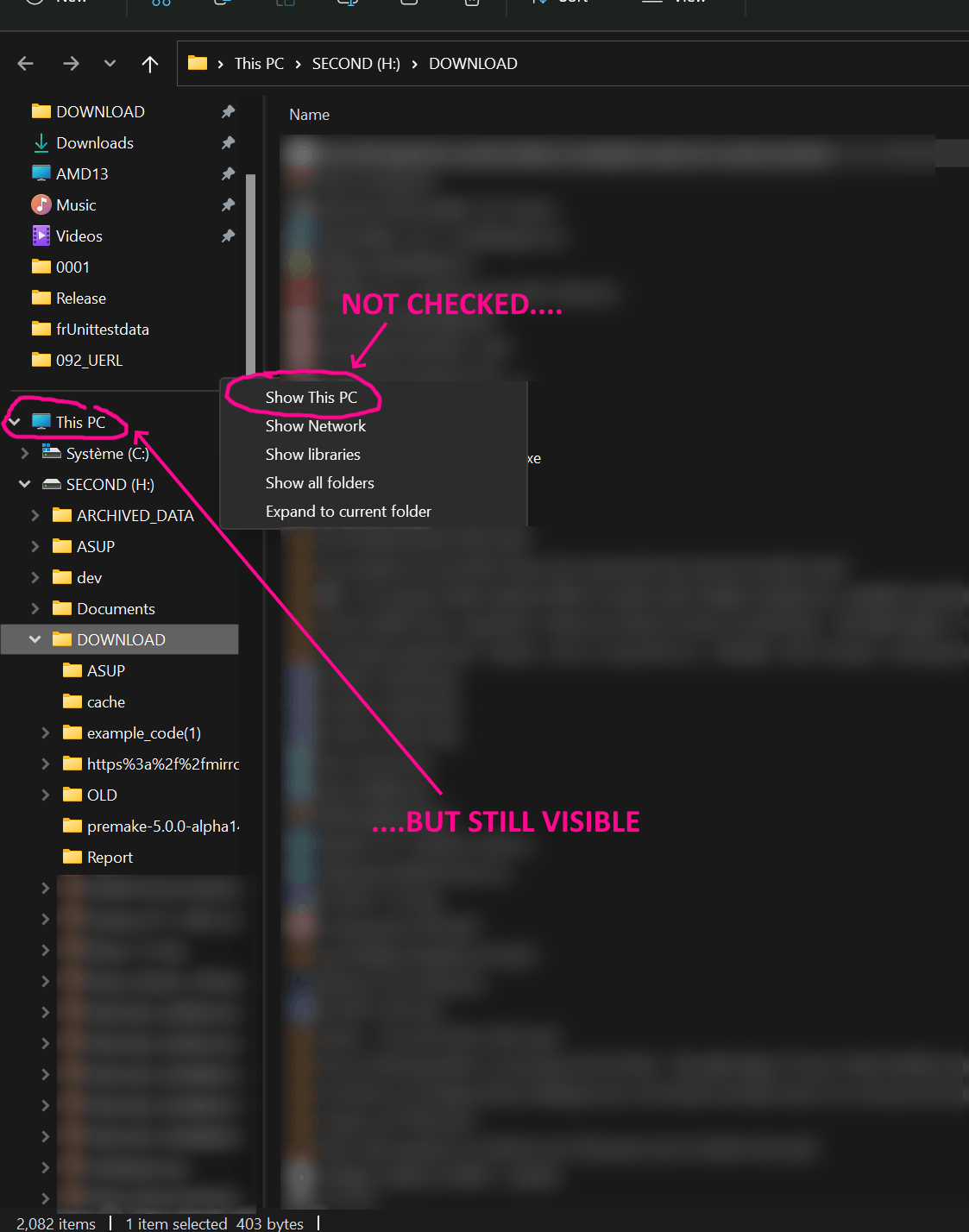 Windows 11 - Disable Expand Folder in Navigation Pane of File Explorer ...