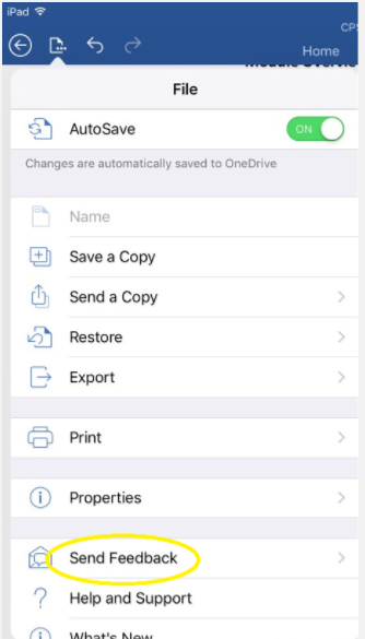 IOS 11, Word, converting footnotes to endnotes - Microsoft Q&A