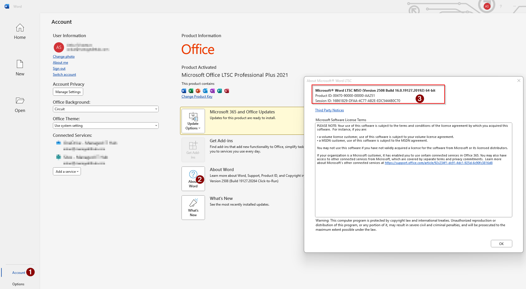 Installation of MS Project 2024 Standard (ESD) on a PC with Windows 11 ...