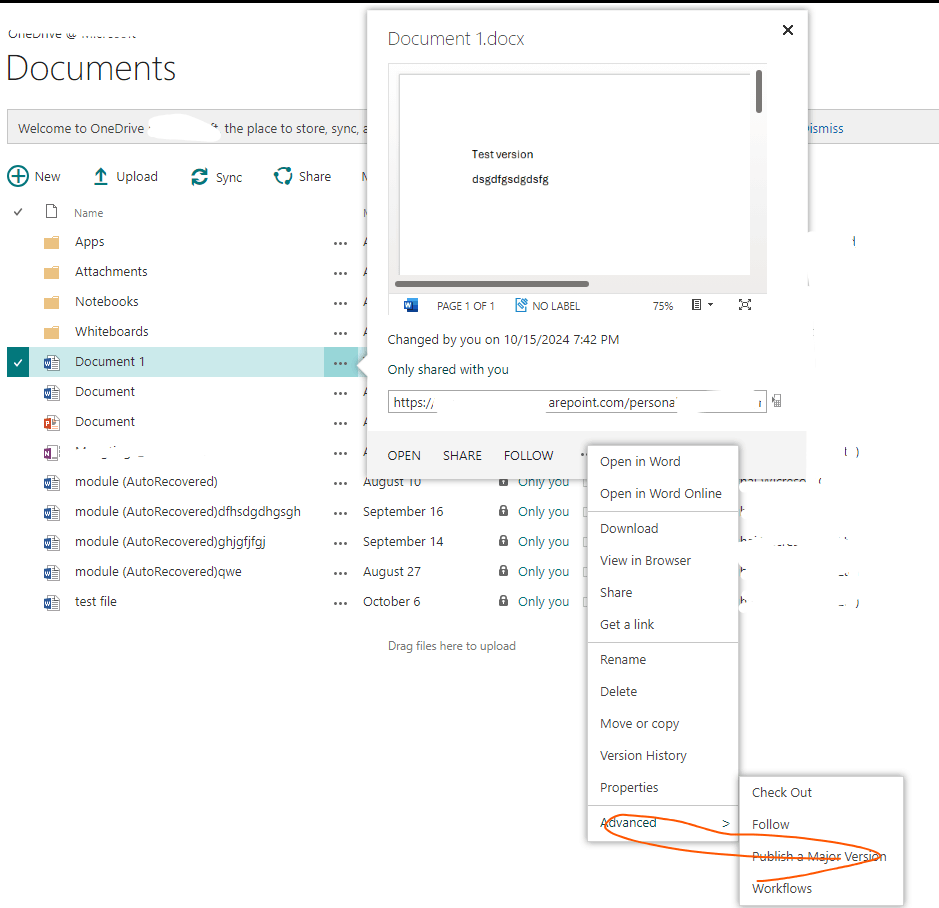 Can I name or label an entry in the Version history of a Word Doc ...