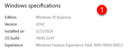 Error 80190194 during Windows 10 Pro setup with Microsoft 365 Business ...