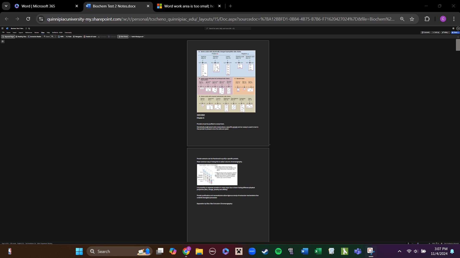 How do I get my Word Document to be at a legible scale of size ...