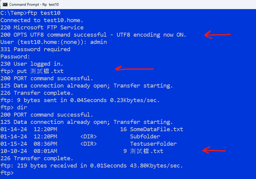 Filename is malformed when sending file to FTP server hosted in IIS ...
