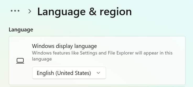 MS Word layout is in French despite English being selected - Microsoft Q&A