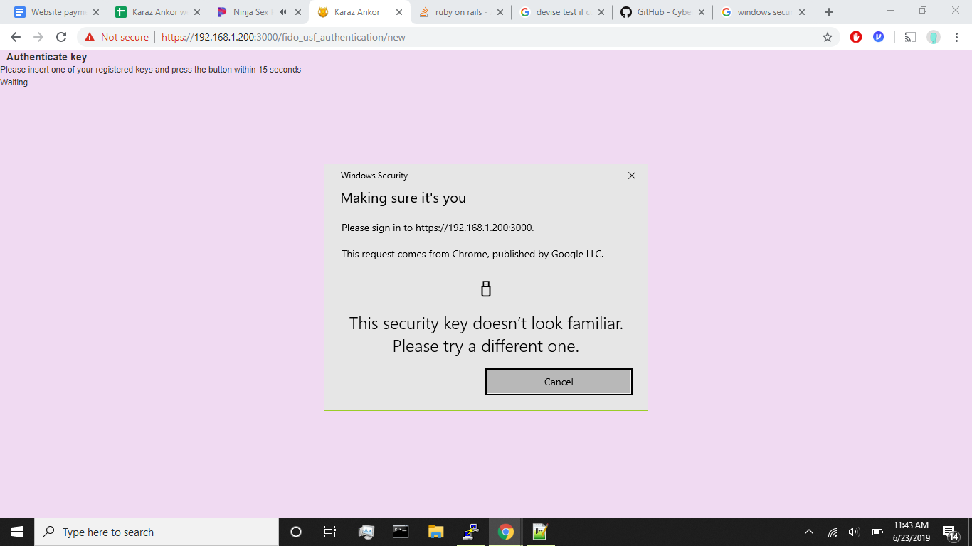 Windows Security pop up for YubiKey authentication on local webserver ...