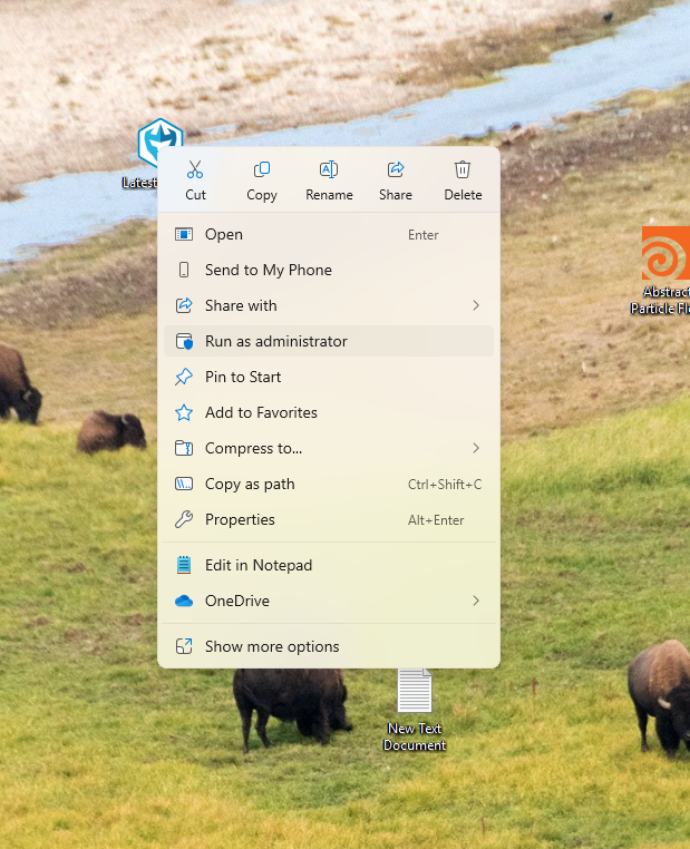"The Windows Installer Service could not be accessed. This can occur if ...