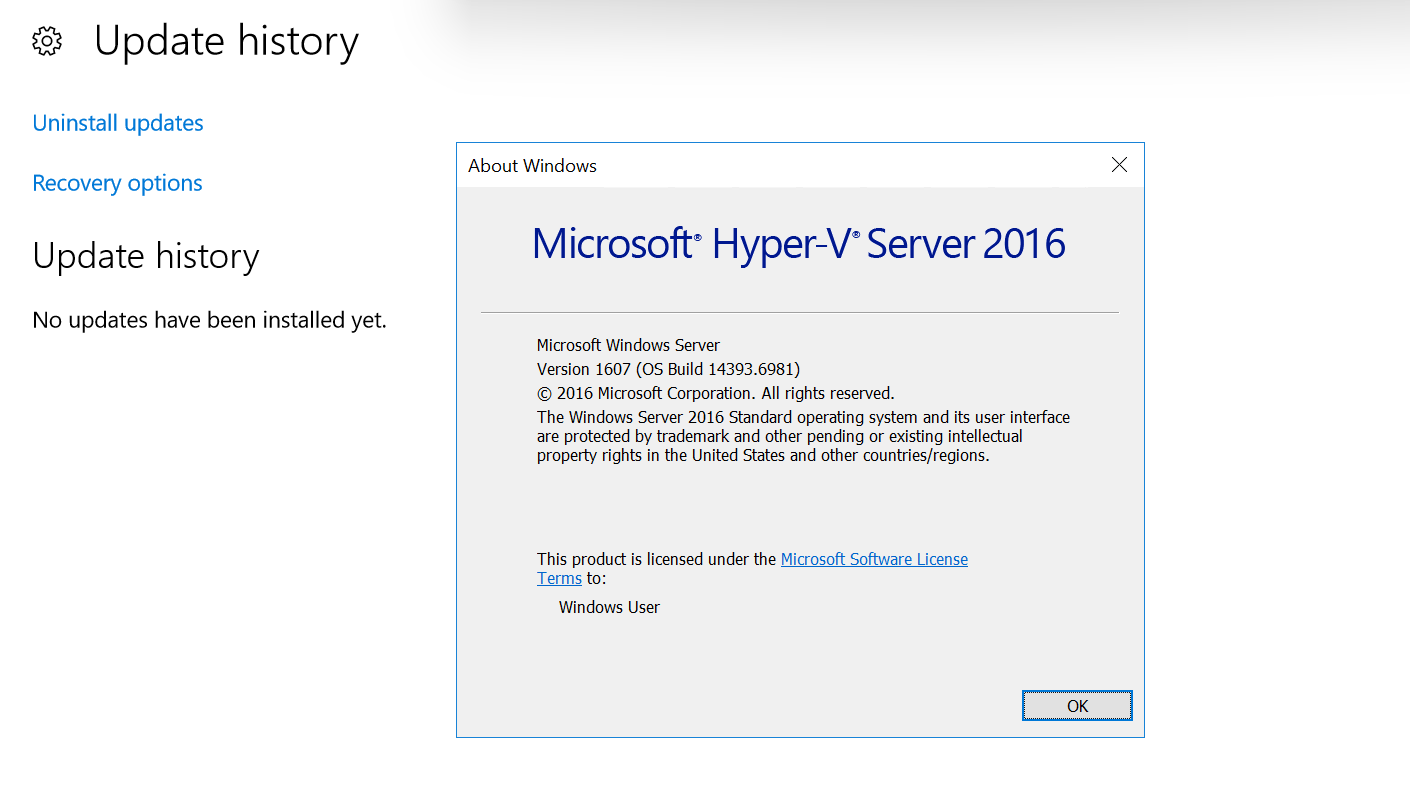 Why Windows Server Not Detecting Download File From Wsus Server Microsoft Qanda