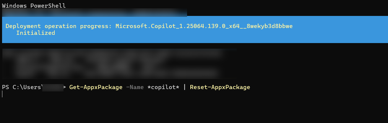 Copilot.exe fail executing , don´t running since 1.25065.132.0 - Microsoft Q&A