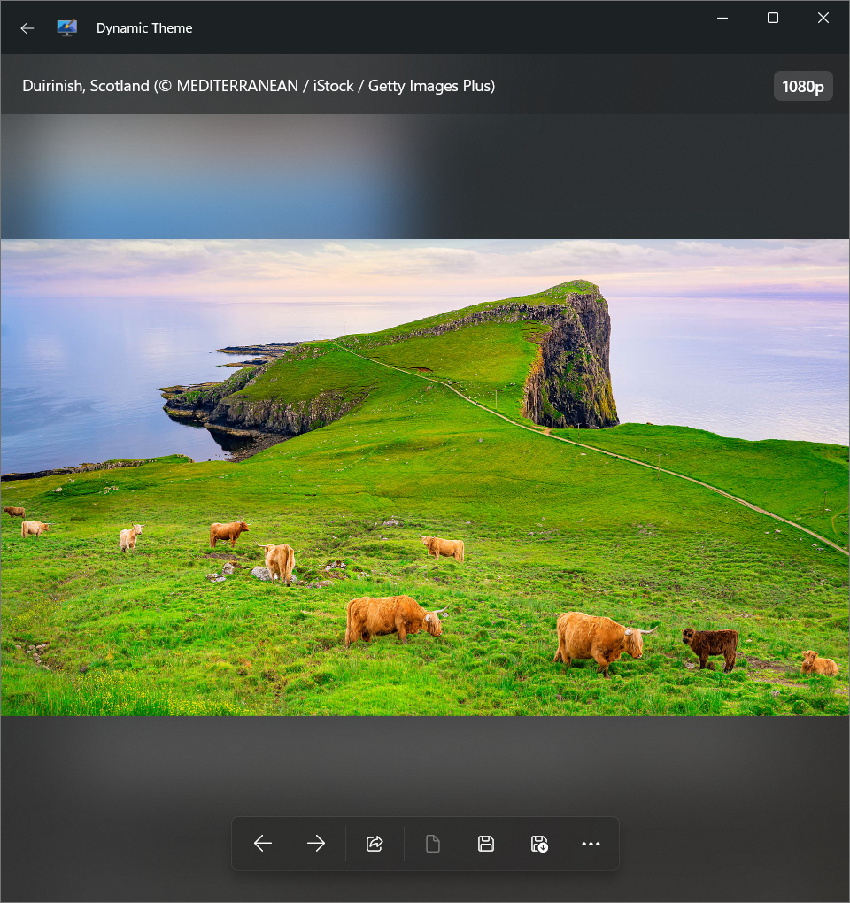 Removing Tulips & Duirinish, Scotland spotlights from Dynamic Theme app ...