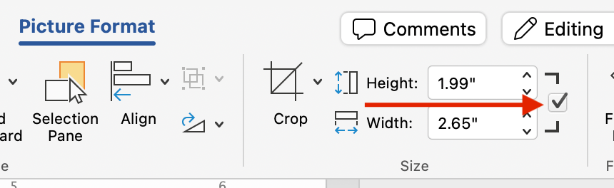 Resizing images in a Word document - Microsoft Q&A