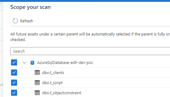 Scope Oracle Scan In Purview At Db Level Microsoft Qanda