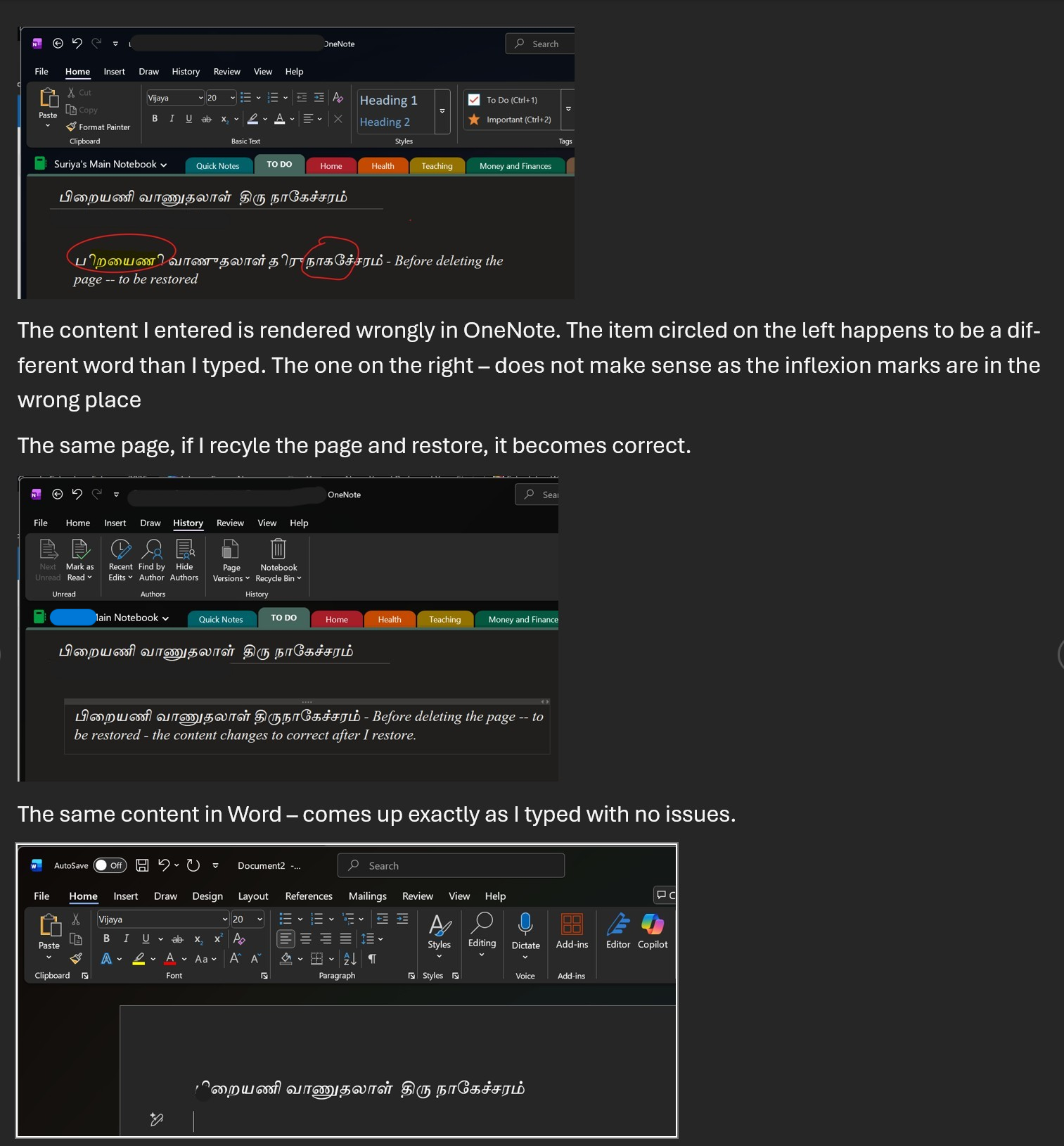 Non English keyboard, same font, rendering differently in Word and ...