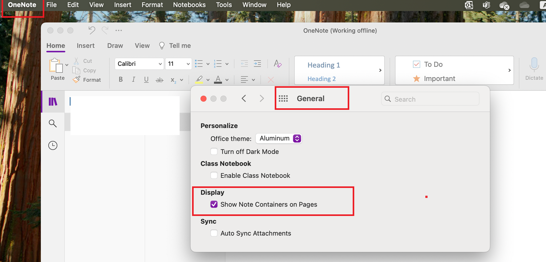 How to make a Mac OneNote text container visible? - Microsoft Q&A