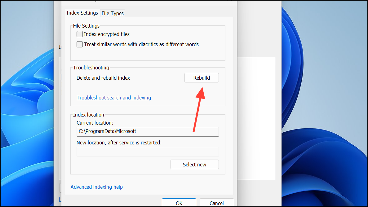 My outlook search never has any results. please help. - Microsoft Q&A
