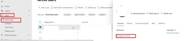 Domain Change and Migration of All Microsoft 365 Data to a New Domain ...