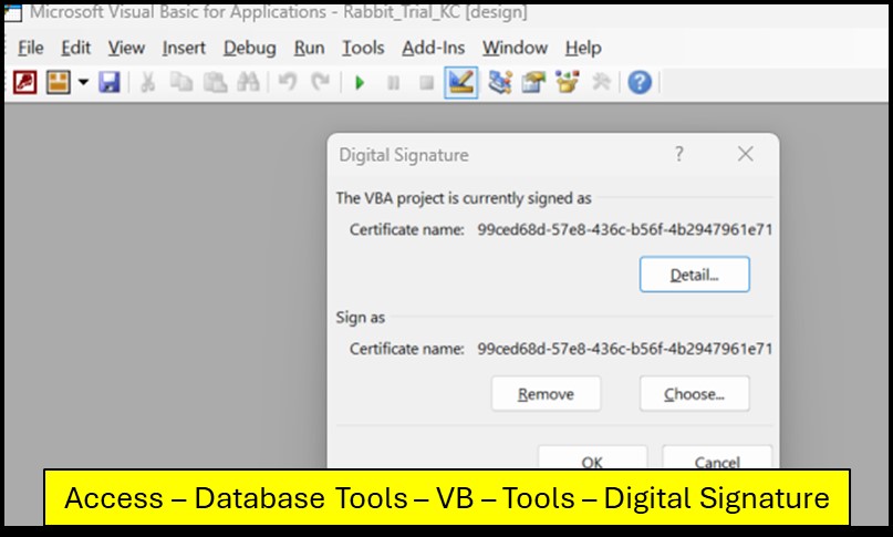 Microsoft Access/SQL Server Hosted on Azure - How to Distribute to End Users - Microsoft Q&A
