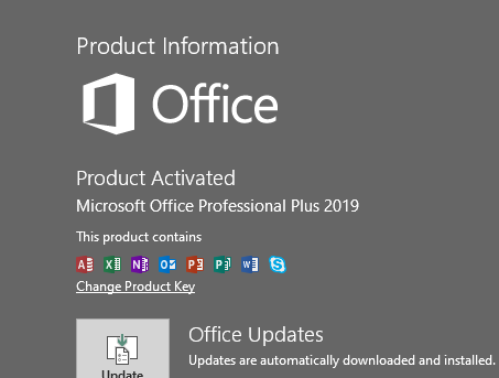 Microsoft Office Professional Plus 2019: Updated Icons - Microsoft Q&A