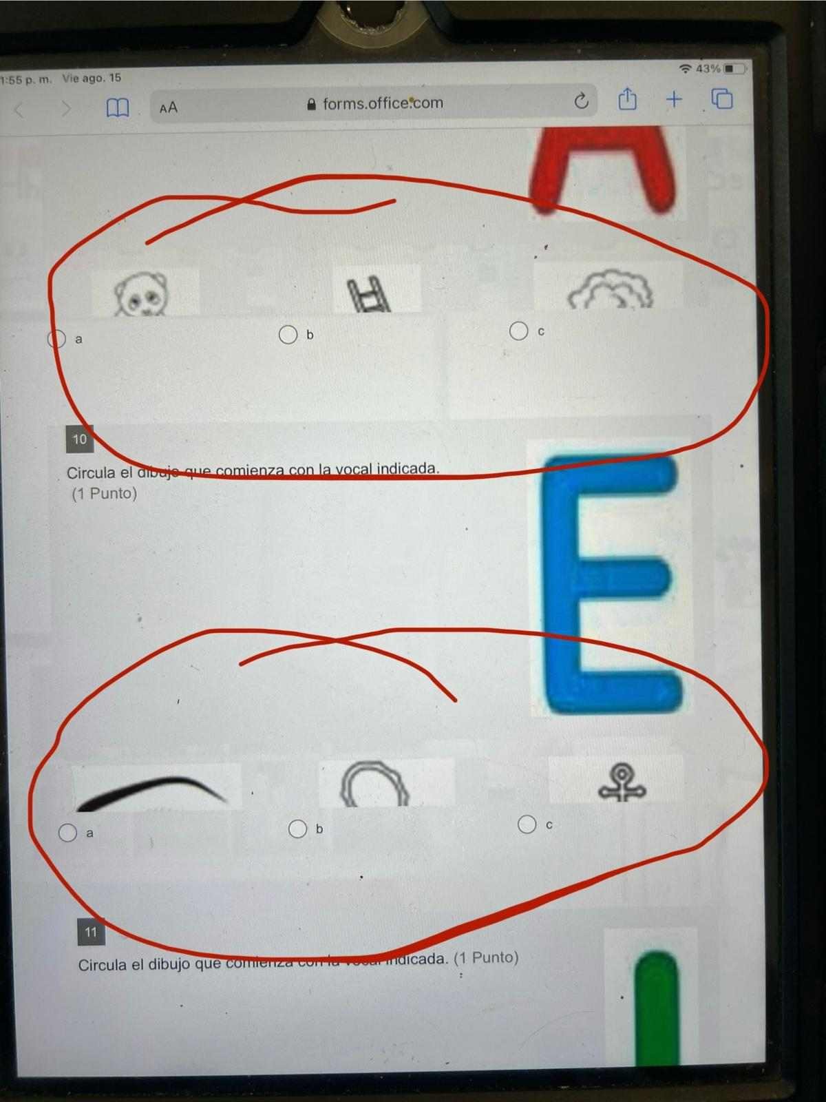 Imagen en la plataforma Forms - Microsoft Q&A